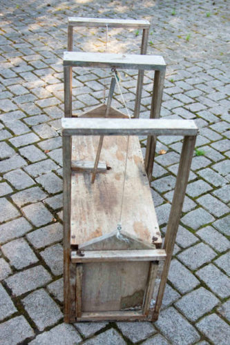 A Sidebar on the Armadillo Trap - Neil Sperry's GARDENS
