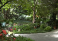 Our Entryway and Courtyard - Neil Sperry's GARDENS