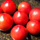 Fall Tomato Time - Neil Sperry's GARDENS