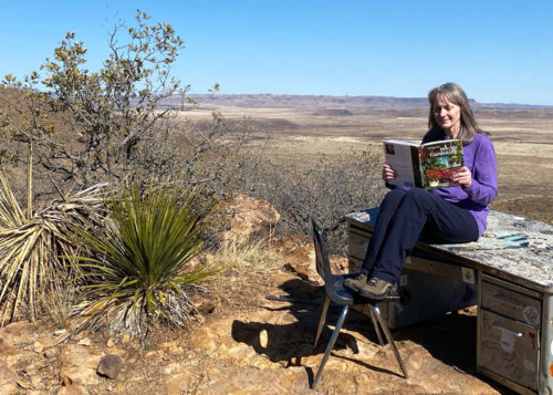 Big Bend Beckons - Neil Sperry's GARDENS