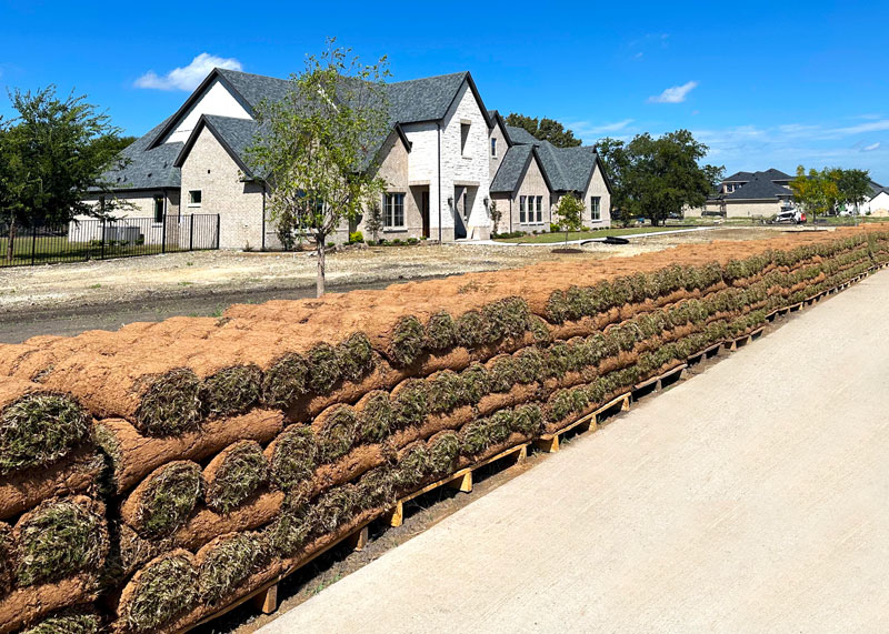 New bermuda sod planting - Neil Sperry's GARDENS