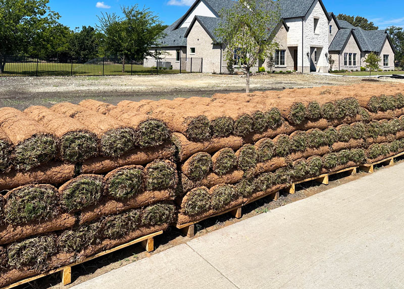 New bermuda sod planting - Neil Sperry's GARDENS