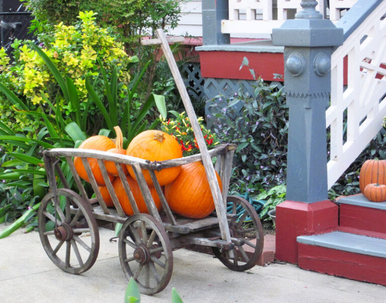 Carts and wagons roll into fall – by Diane Morey Sitton - Neil Sperry's ...