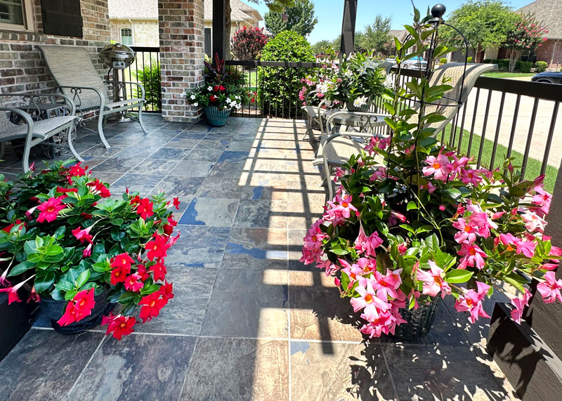 Mad About Mandevillas - Neil Sperry's GARDENS