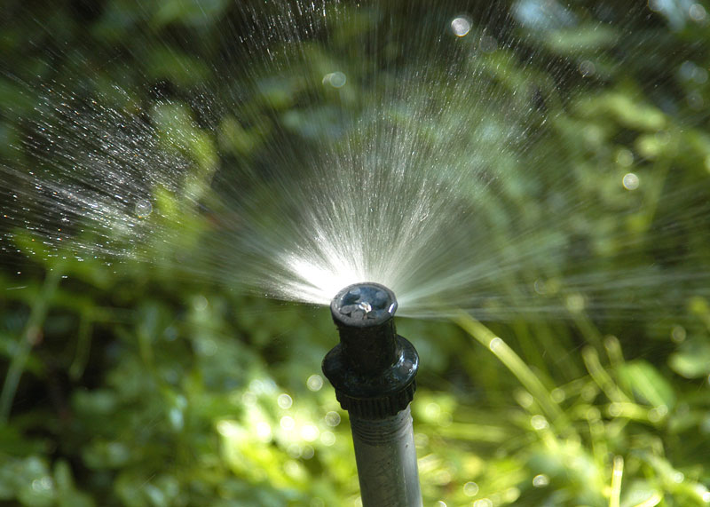 Saving water saves money - Neil Sperry's GARDENS