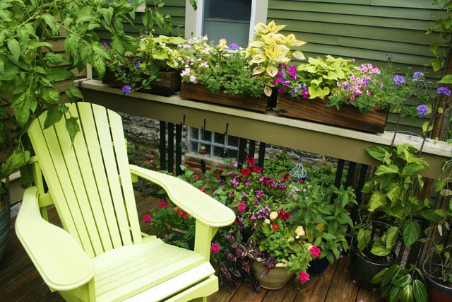 Color gone wild - by Diane Morey Sitton - Neil Sperry's GARDENS